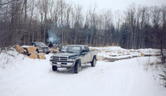 Vandermark NYSDEC Forest | Scio, NY 14880