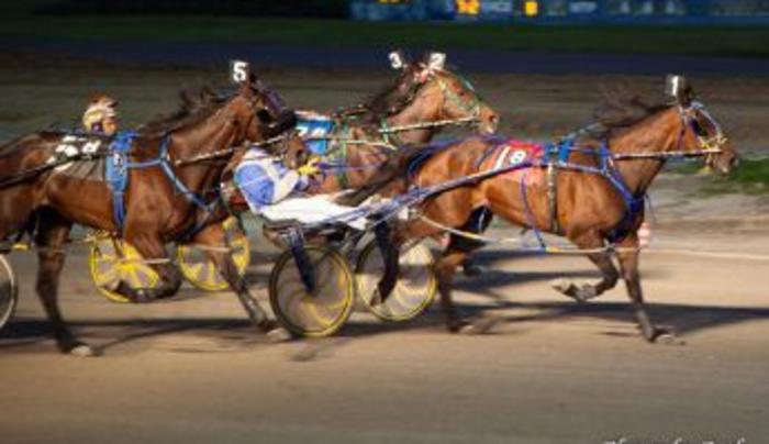 Buffalo Raceway | Hamburg, NY 14075