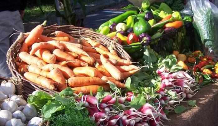 Millbrook Farmers Market | Millbrook, NY 12545