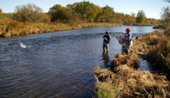 Douglaston Salmon Run | Pulaski, NY 13142