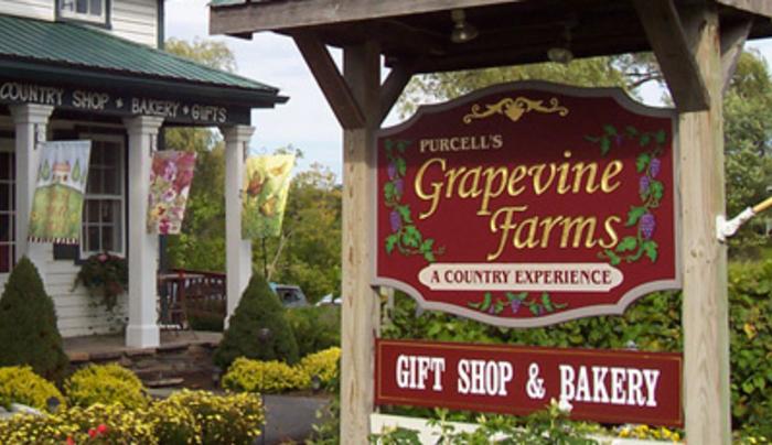 Grapevine Farms | Cobleskill, NY 12043