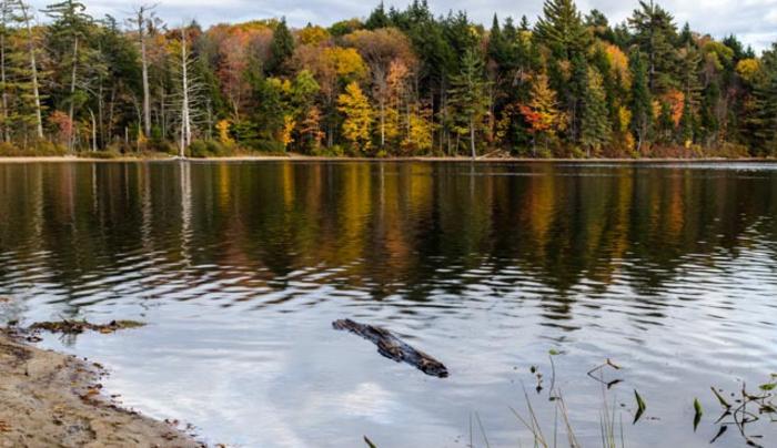 Moss Lake Preserve | Houghton, NY 14744