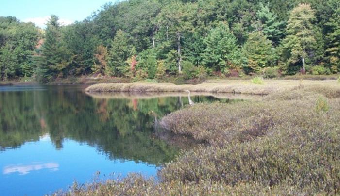 Moss Lake Preserve | Houghton, NY 14744