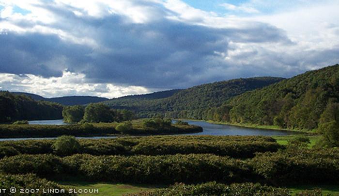 Narrowsburg Chamber of Commerce | Narrowsburg, NY 12764