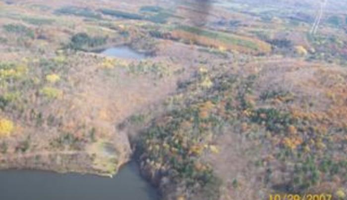 NYS DEC Partridge Run Wildlife Management Area | Berne, NY 12023