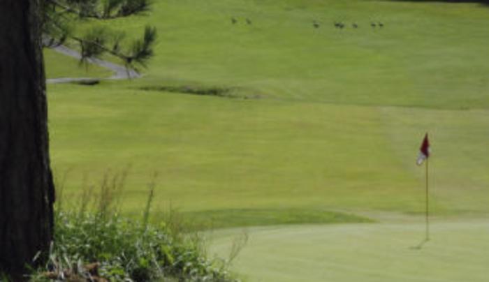 Rome Country Club | Rome, NY 13440