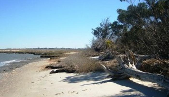 Sandy Island Beach State Park | Pulaski, NY 13142