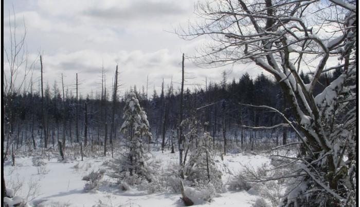 Dyken Pond Environmental Education Center | Cropseyville, NY 12052