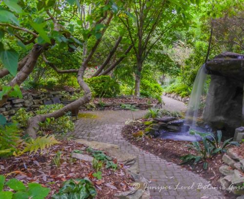 Juniper Level Botanic Garden | Raleigh, NC 27603