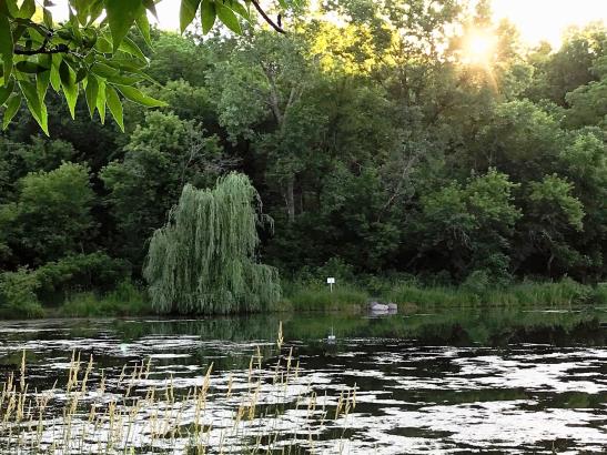 Foster Arend Park | Rochester, MN 55906