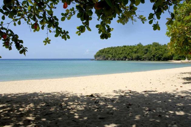 Shaw Park Beach Resort