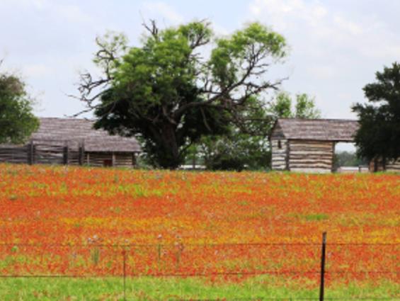 Lyndon B. Johnson State Park and Historic Site | Things to do in ...