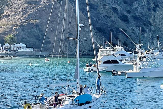 Catalina Adventure Sailing | Catalina Island