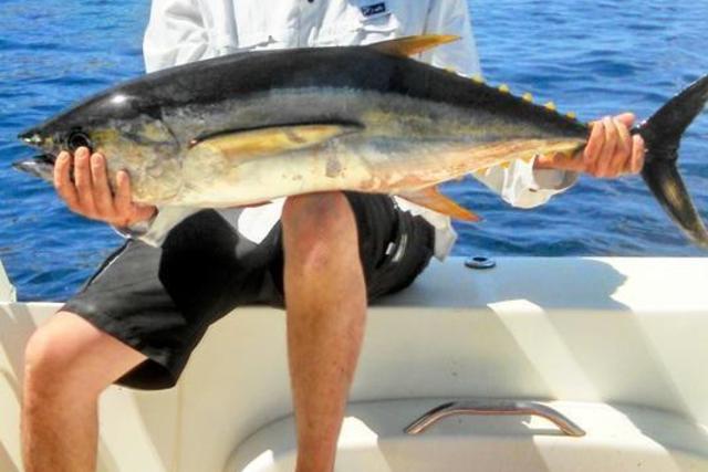 Catalina Coastal Tours & Fishing | Catalina Island