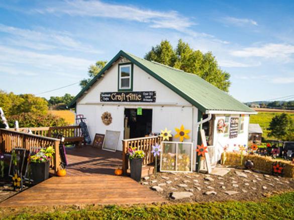 Jumbo's Pumpkin Patch | Middletown, MD 21769