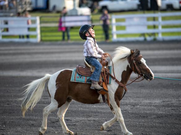 The Great Frederick Fair