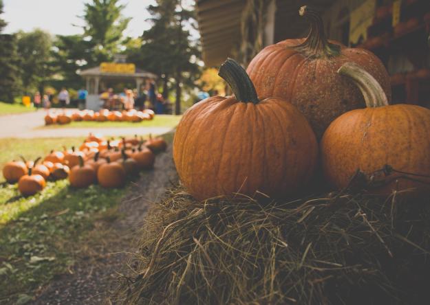 Southwest Louisiana Kid Friendly Halloween Events southwest-louisiana-kid-friendly-halloween-events