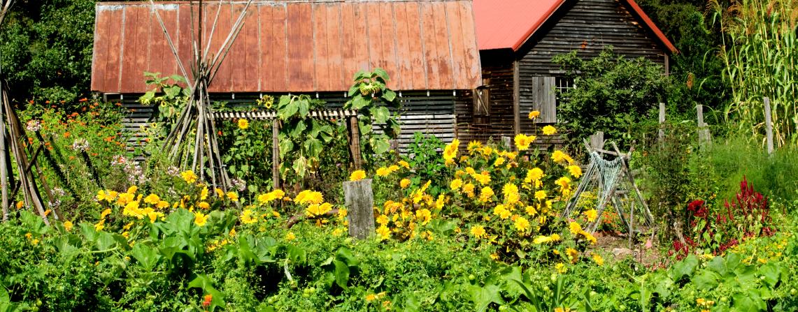 Roper Mountain Science Center