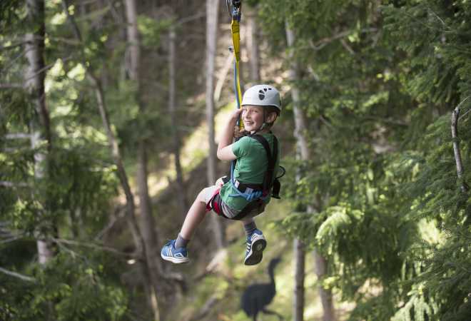 Ziptrek - Moa 4-Line Tour | Official Queenstown Website