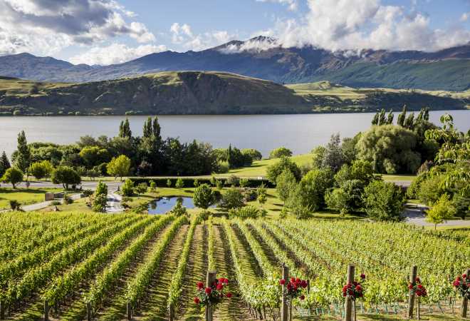 Stoneridge Estate | Official Queenstown Website