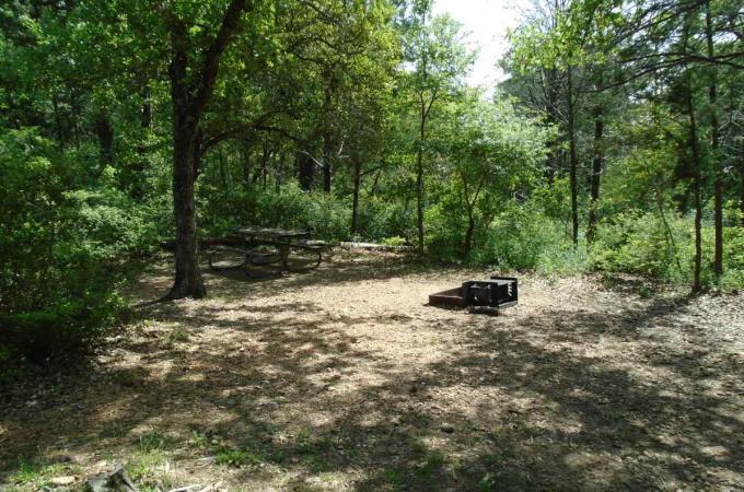 Buescher State Park | Smithville, TX 78957