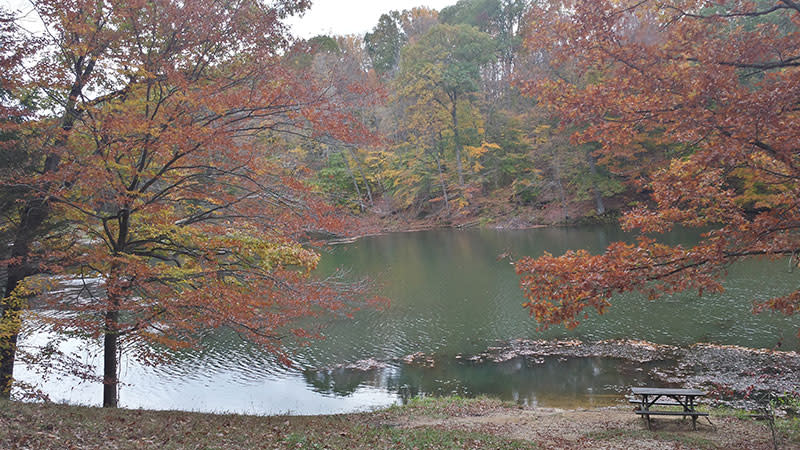 A Visit to Morgan-Monroe State Forest