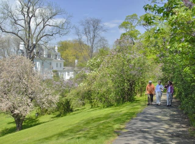 New York State Senior Discounts | Search Deals, Offers & Coupons