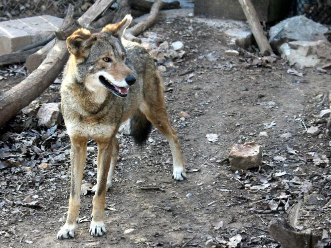 20 Events to Check Out this January in Roanoke, VA | Virginia's Blue Ridge