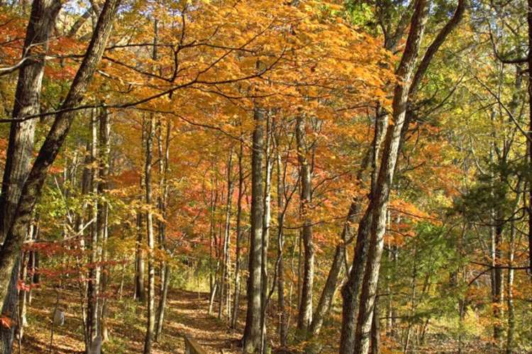 Land Trust of North Alabama