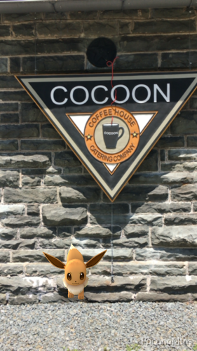 Playing Pokémon GO in the Pocono Mountains