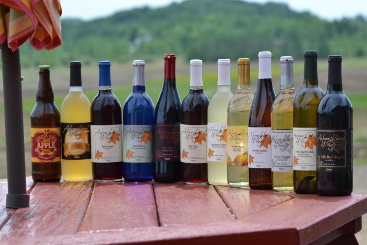 Dixon's Autumn Harvest Winery and Orchard | Chippewa Falls, WI 54729