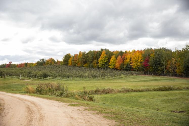 Dixon's Autumn Harvest Winery and Orchard | Chippewa Falls, WI 54729