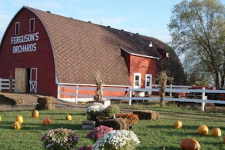 Ferguson's Orchards | Eau Claire, WI 54701