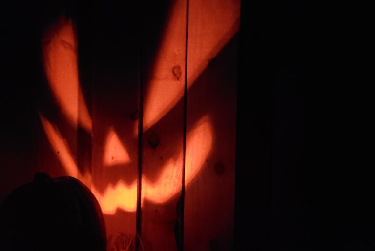 Zombie Farms Haunted Trail