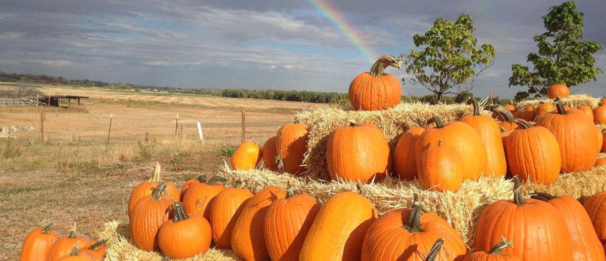 6 Pumpkin Patches in Boulder Worth Visiting This Fall