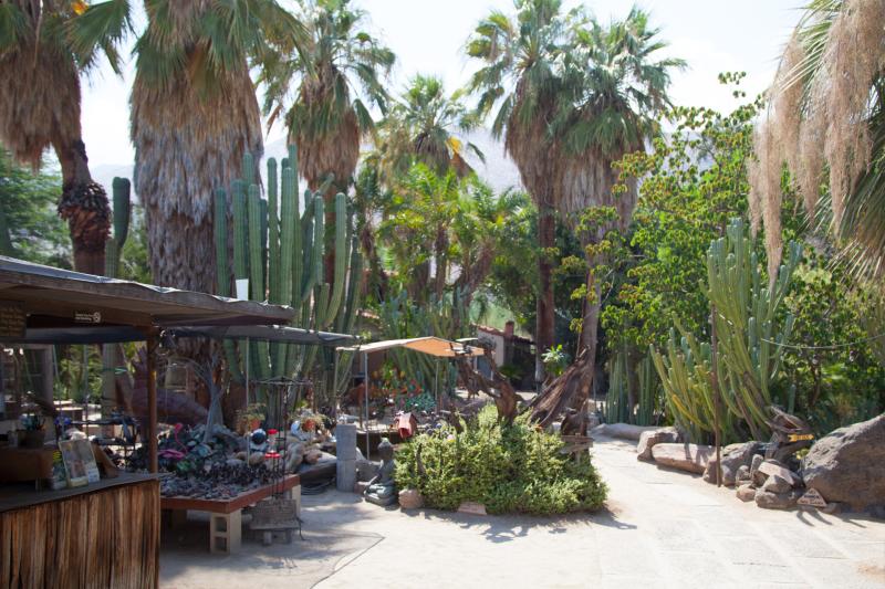Plant Lover's Guide to Greater Palm Springs
