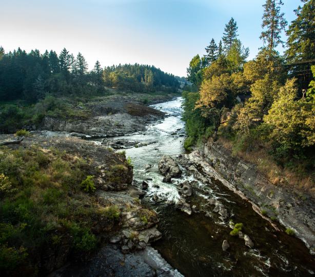 Colliding Rivers Park