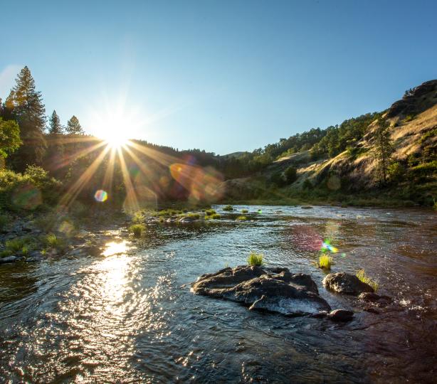 Whistler's Bend Park & Campground