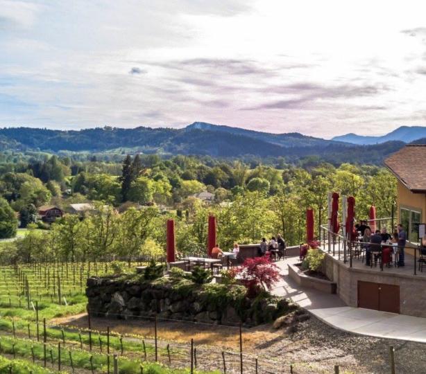 Cooper Ridge Vineyard