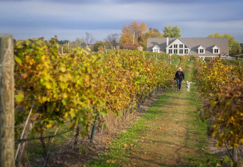 5 Ways to Do Fall in Kansas City, KS