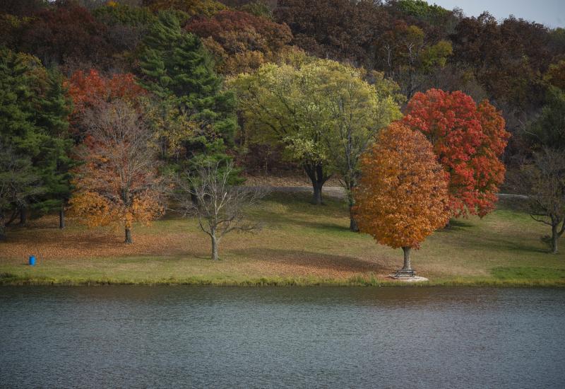 5 Ways to Do Fall in Kansas City, KS