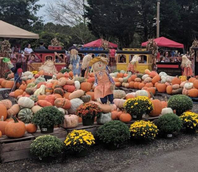 Best Pumpkin Patches for Fall 2019 | Fairfax County, VA