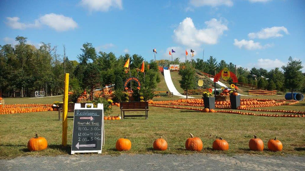 Best Pumpkin Patches for Fall 2019 | Fairfax County, VA