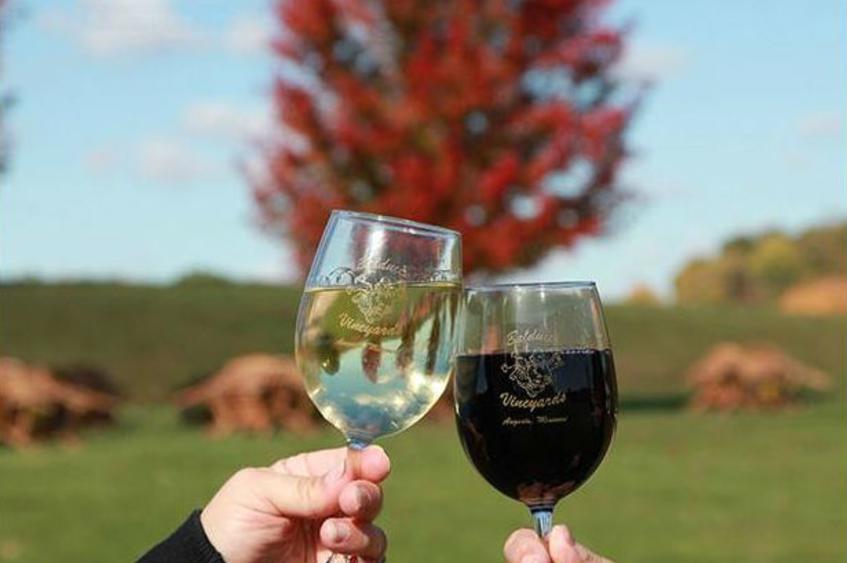 Balducci Vineyards | Augusta, MO 63332