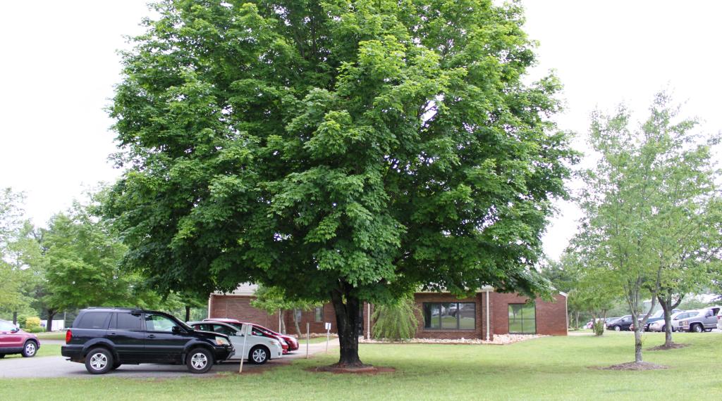 Rutherford County Library Main Branch