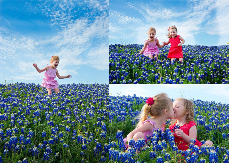 Bluebonnets in Irving, TX | Where to Find Wildflowers