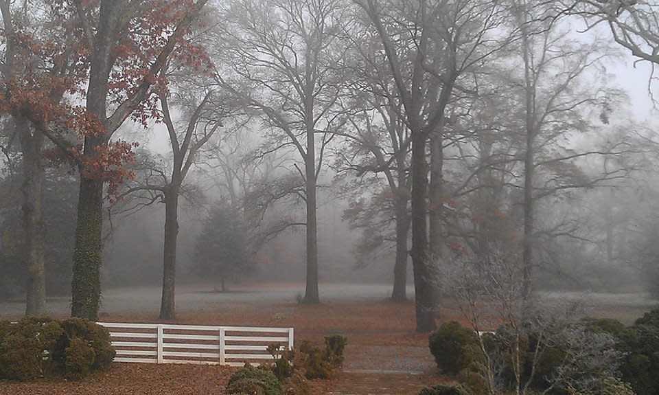 Pond Spring - General Joe Wheeler Home, Hillsboro: An Alabama ...