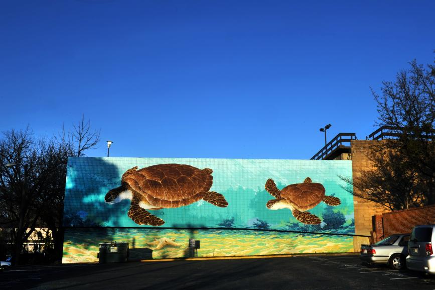 17 Must-See Murals in Chapel Hill and Orange County