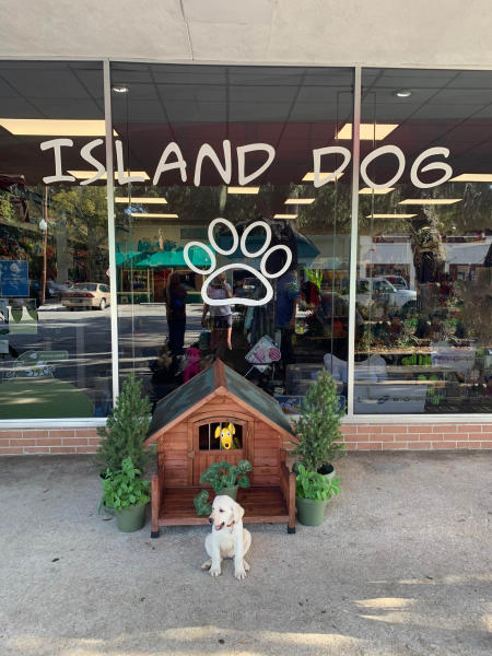 Dog Friendly Places in the Golden Isles | Beaches, Parks & Dining