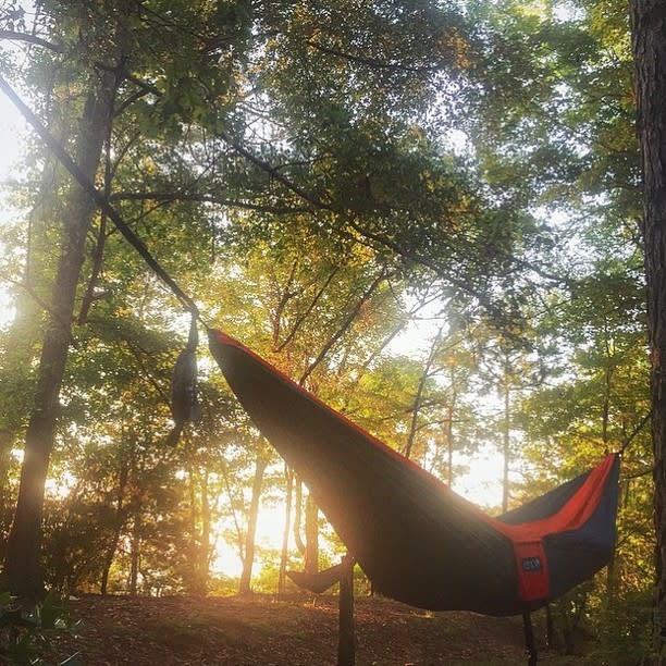 Hammock Hangouts